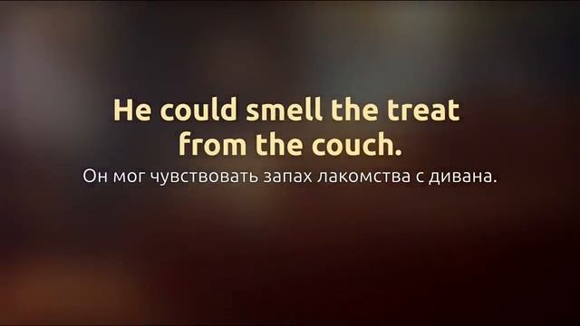 The Lazy Dog  [НАЧНИ ПОНИМАТЬ АНГЛИЙСКИЙ НА СЛУХ Простой рассказ для начинающих] (А1)