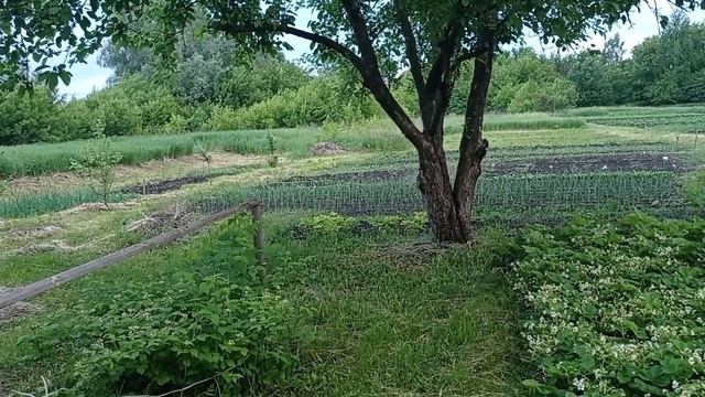 Нежданная встреча))) Архив от 30.05.2021г.