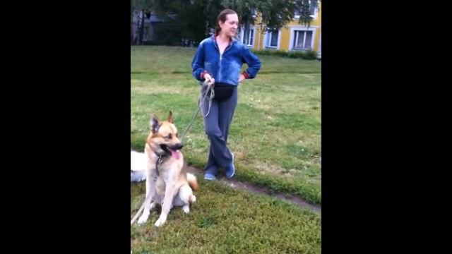 Знакомство с Машей и Никушей