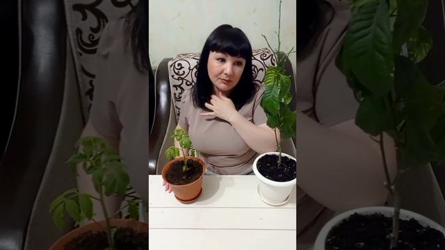 Знакомство. Немного о себе.