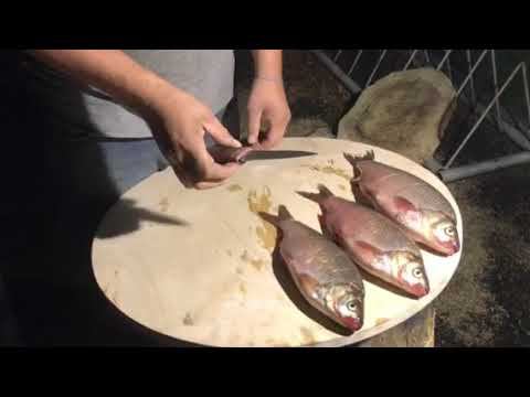 Тестируем: нож для разделки рыбы