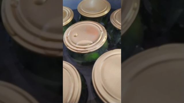 Огурцы на зиму.mp4