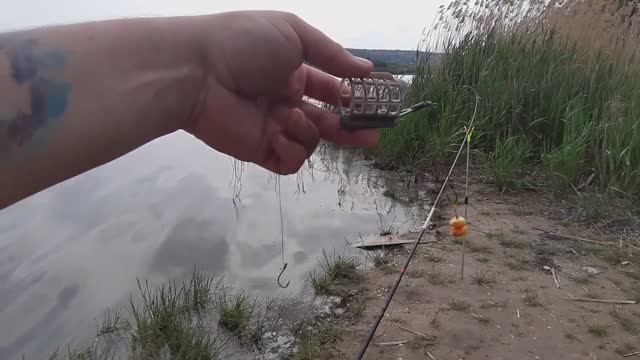 Рыбалка на озере, отдых, морской окунь на мангале