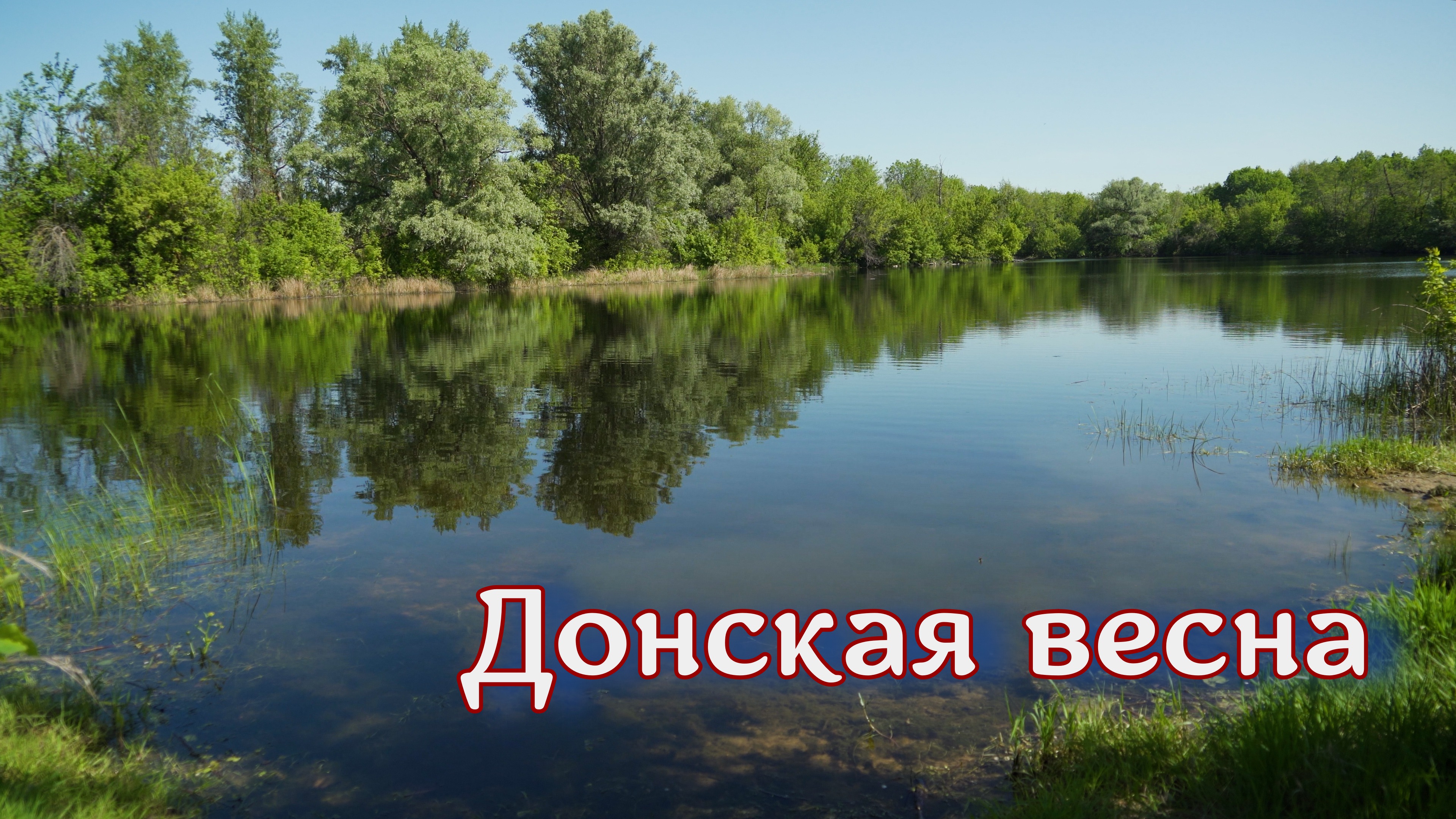 Донская весна