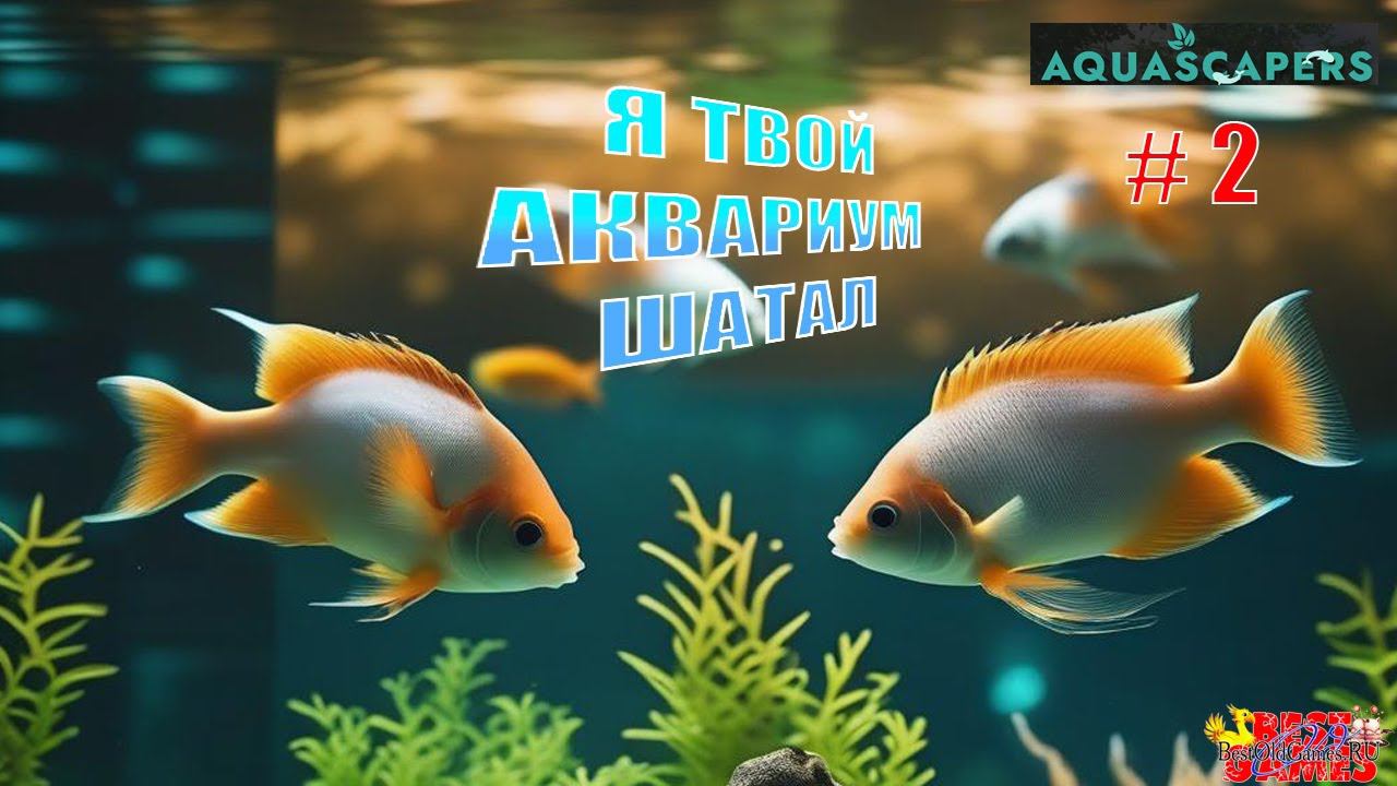 Aquascapers - Я твой аквариум шатал
