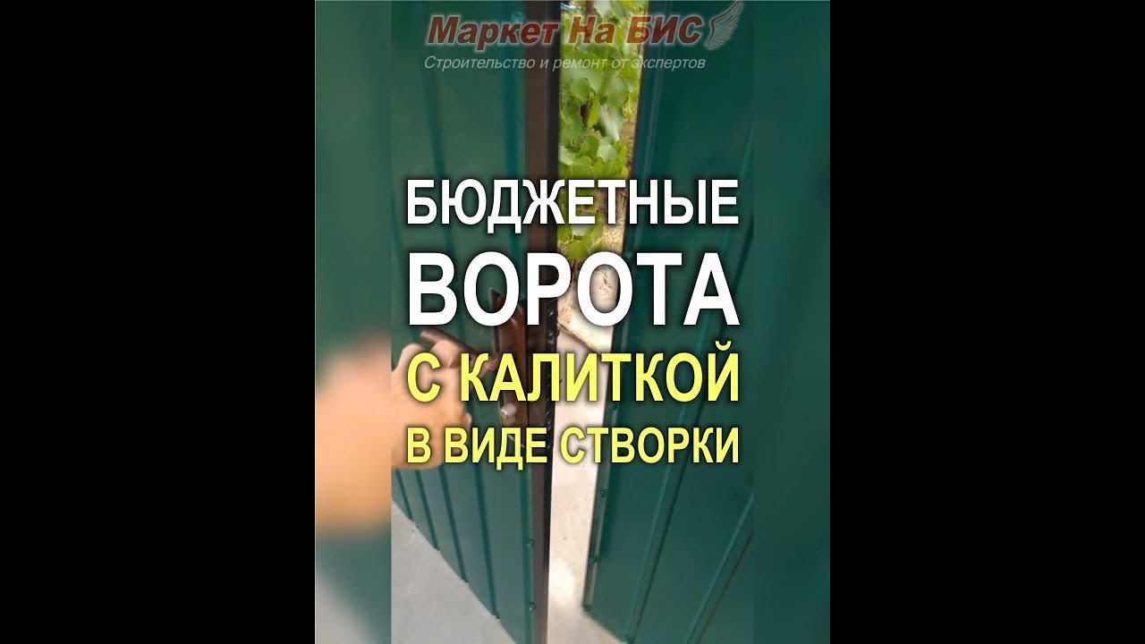 Бюджетные ворота из профнастила с калиткой в виде створки ворот, Кривой Рог (304M)