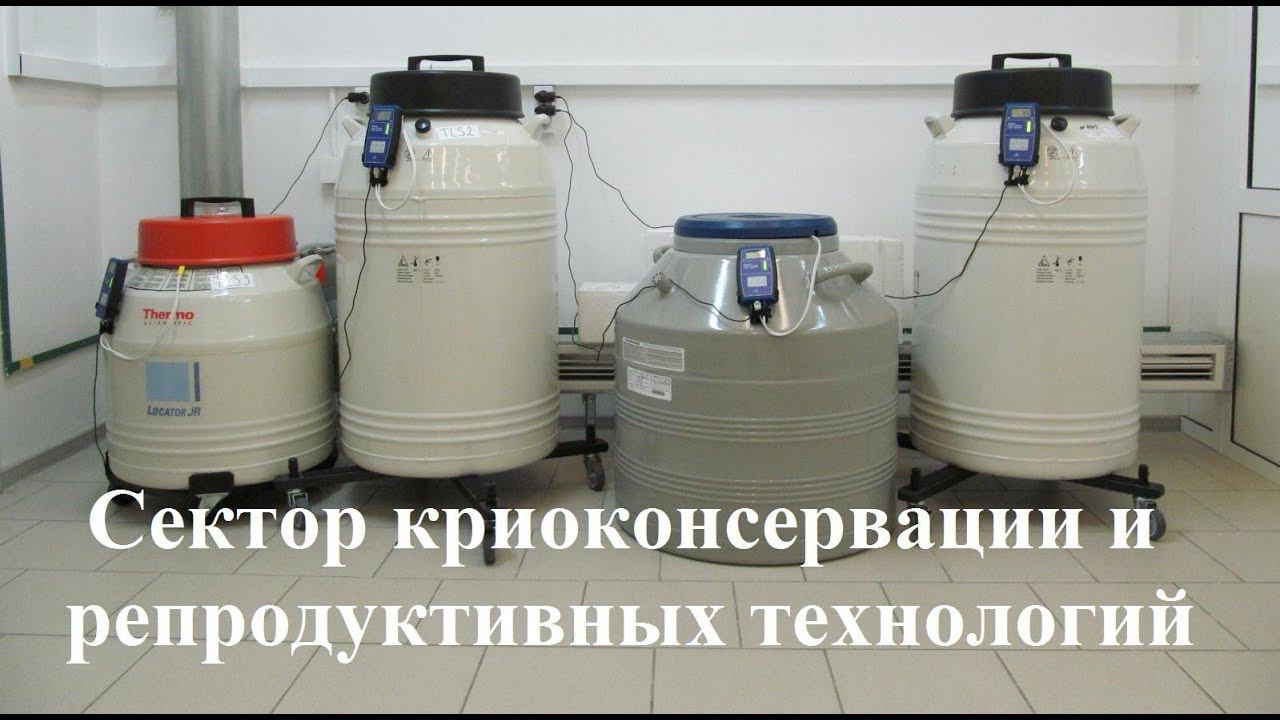 Немножко новостей (ссылка на весь репортаж в описании)