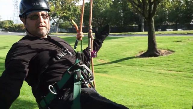 Дистела узел для подъёма и спуска от Бино