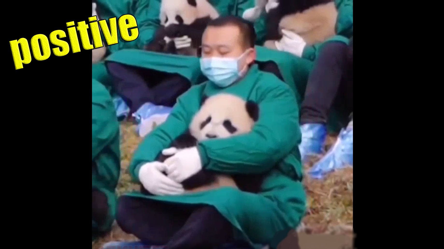 Очередная доза позитива для поднятия настроения #25. Лучшая работа - укачиватель панд