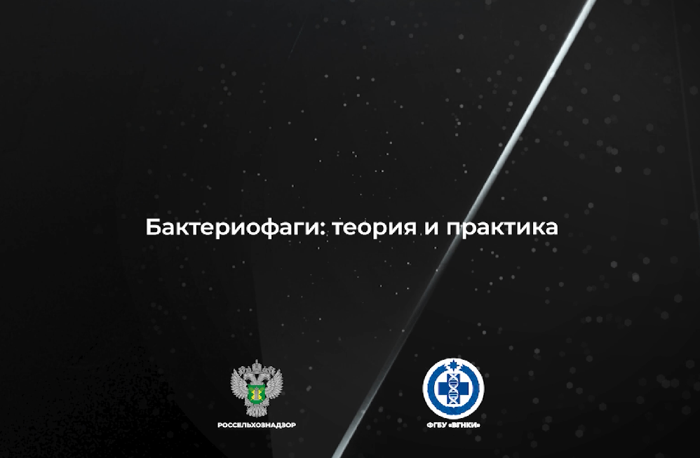 8/23 Бактериофаги: теория и практика