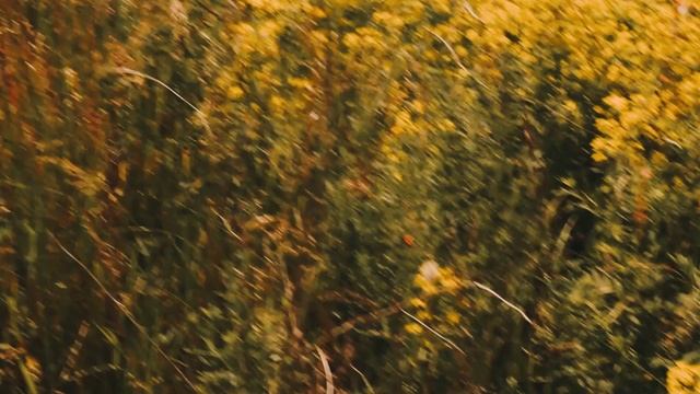 Расслабляющая музыка на фон / Lo-Fi Hip-Hop для учёбы и работы / Лёгкая музыка / Light music