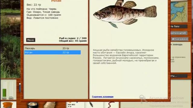 Русская рыбалка 3