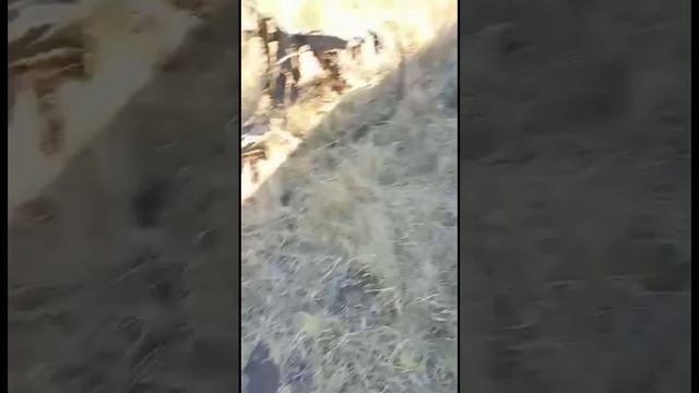 Капаем металл на болоте