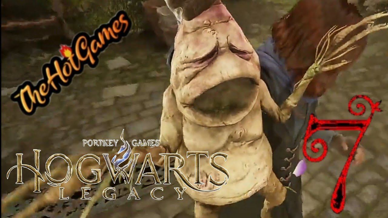 НОВЫЕ ПРЕДМЕТЫ ►Hogwarts Legacy прохождение #7