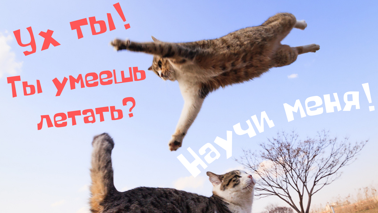 А вы умеете летать?