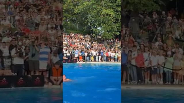 С высоты в воду