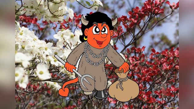 Кизил - шайтаново дерево