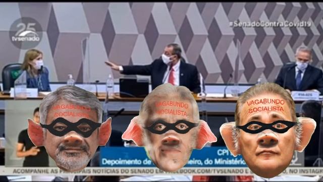 A verdade não nos interessa