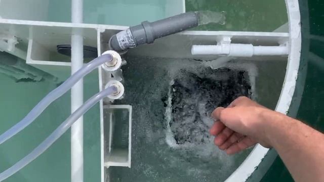 Обзор СБО "Эпишура" низкий корпус