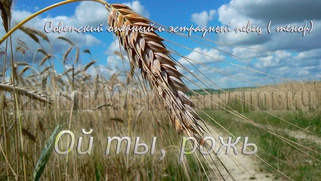 Ой ты, рожь - Анатолий Александрович