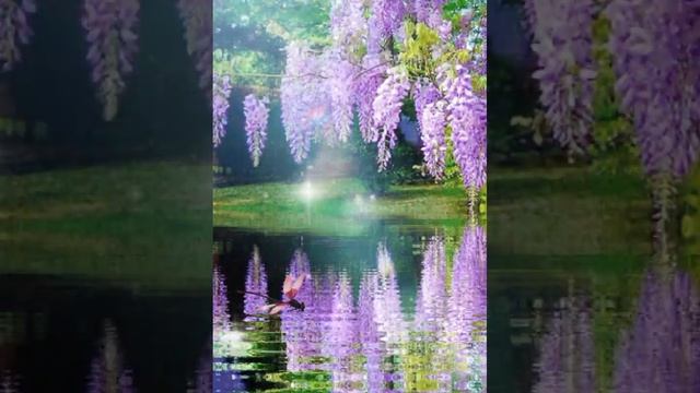 Волшебная, расслабляющая музыка для отдыха и спокойного сна