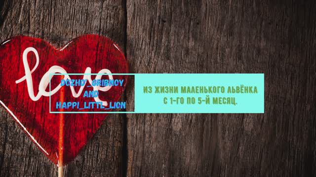 Маленький Лёва 1- 5 месяцев.
