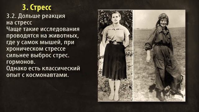 22. ВСЁ! Что Важно Знать о Женском Мозге