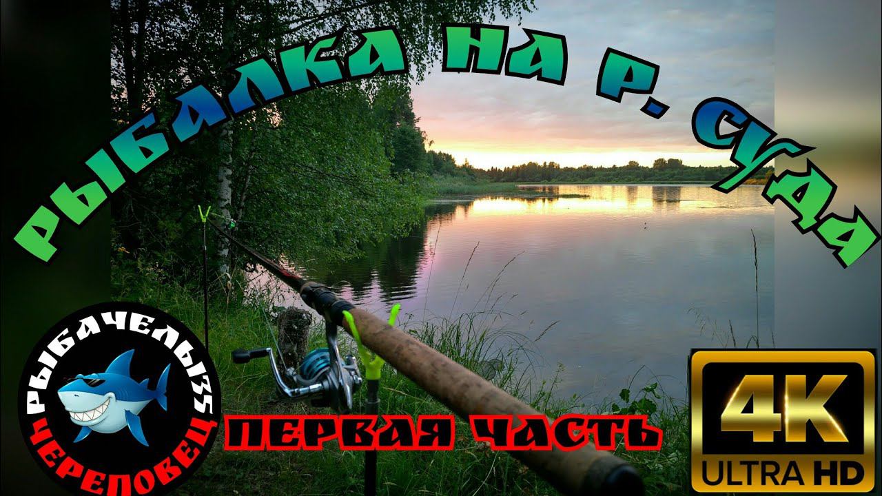 Рыбалка на фидер в 4К на р. Суда!!!Ставим налимовки!!!