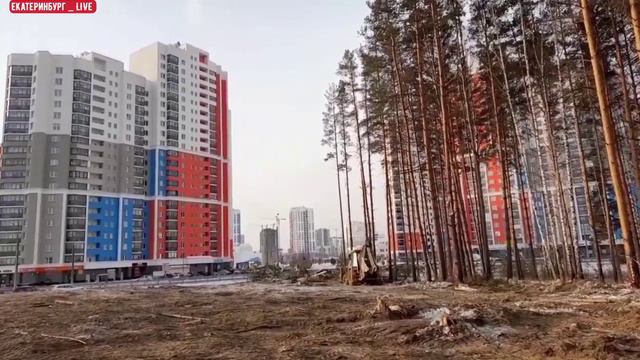 Как это было!!!
В Академическом районе начали вырубать лес,ради нового жилого комплекса.
