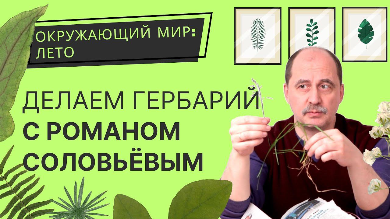 Как сделать гербарий: приклеиваем растение и подписываем! Окружающий мир: лето с РБ
