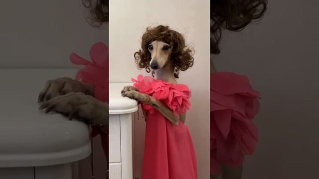 Я вся в кино...Смехота!