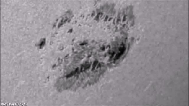 На Солнце. Пятно AR 3088.