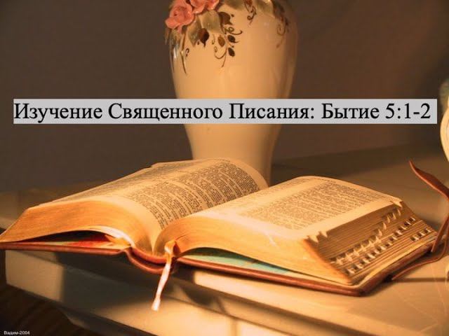 Изучение Священного Писания (Ветхий Завет): детальный разбор книги Бытия, 5 глава, 1 и 2 стихи.