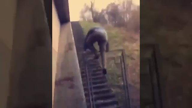 Не ищет лёгких путей (Почему мужчины живут меньше)