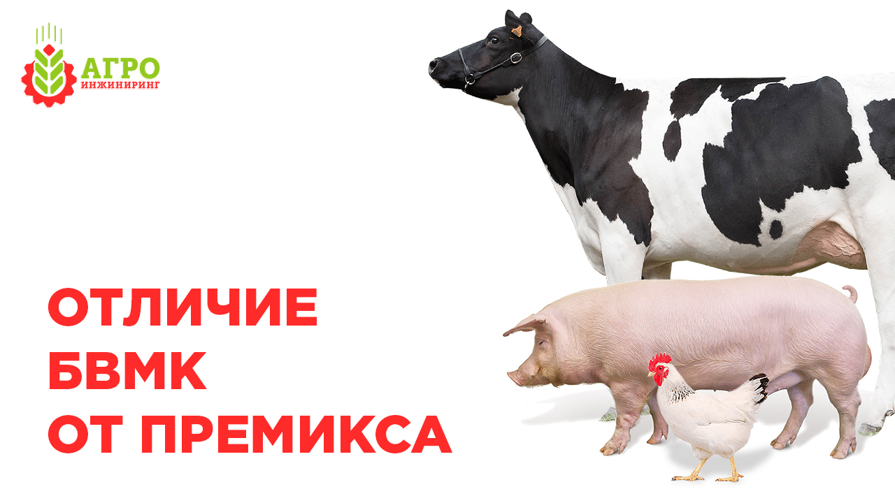 Чем премикс отличается от БВМК.