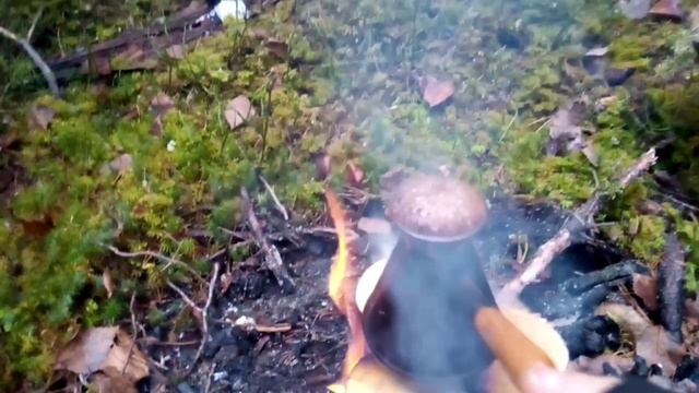 ПВД 1. Тайга, когда выходной, дома не сидится.