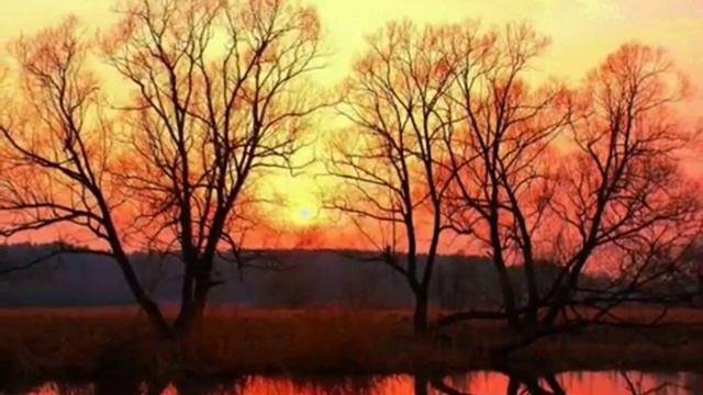 Не бродить,не мять в кустах багряных лебеды ....mp4
