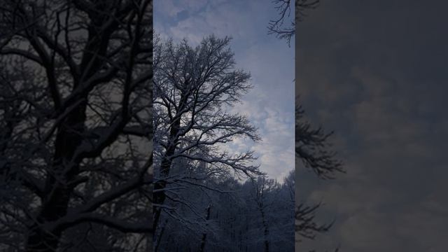 Зима декабрь