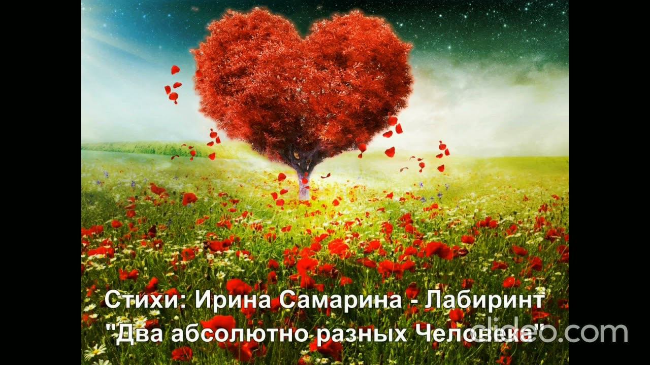 Два абсолютно разных человека