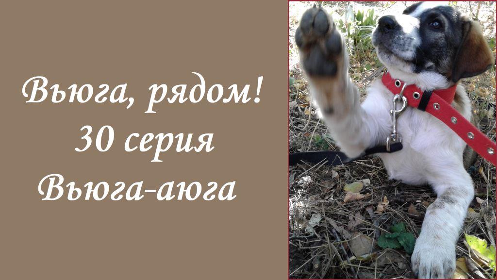 "Вьюга, рядом!" 30 серия "Вьюга-аюга"   dub