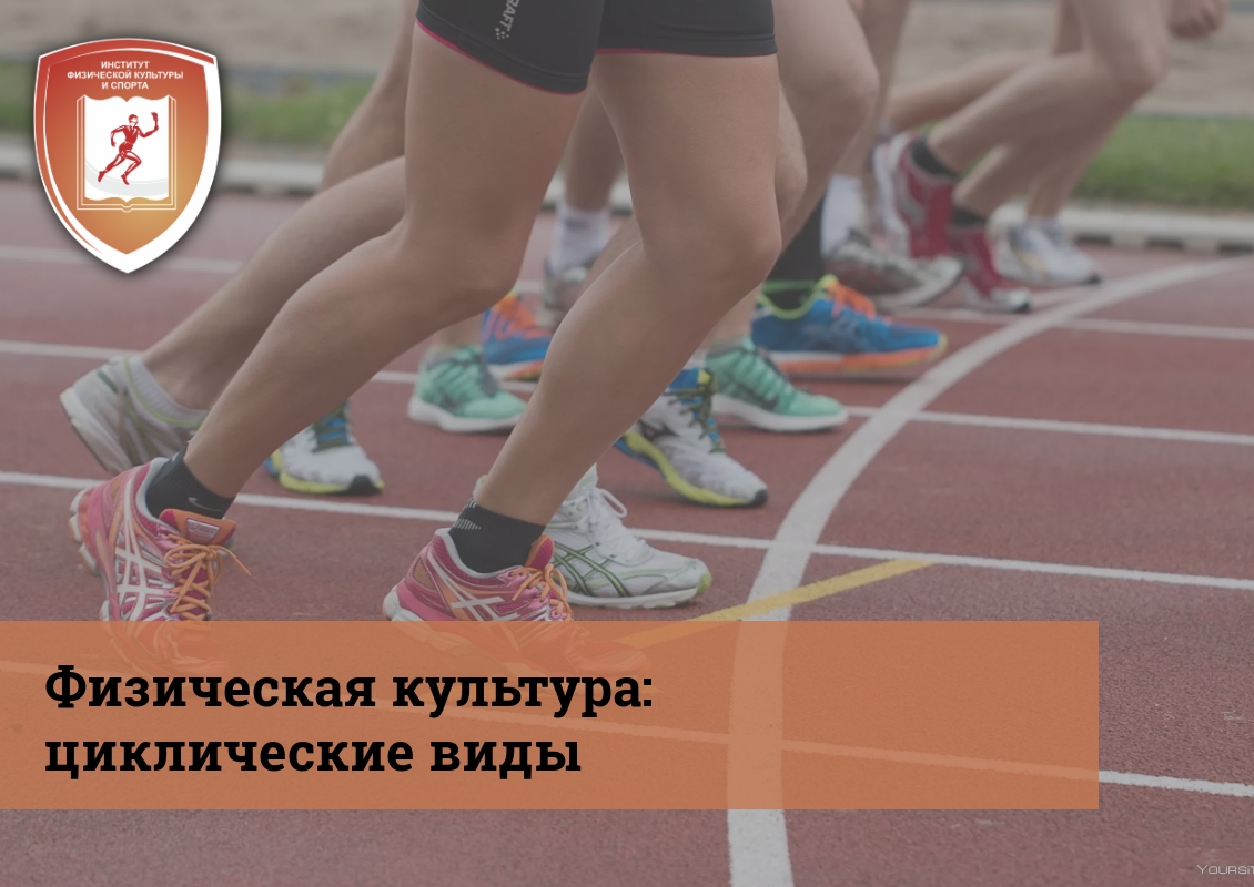 Физическая культура: циклические виды