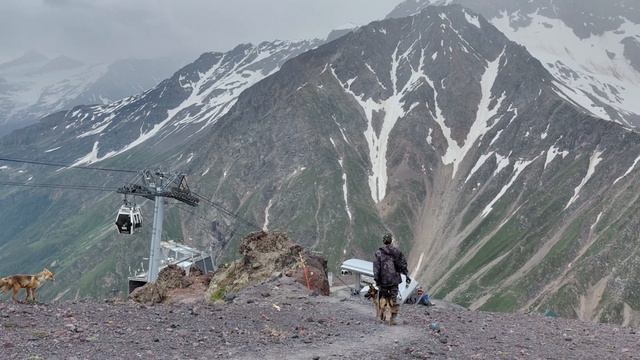 Разбили лисичке сердце😅