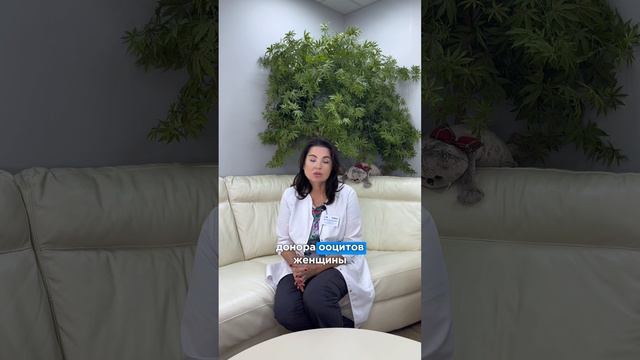 Донорские программы Эмбрио