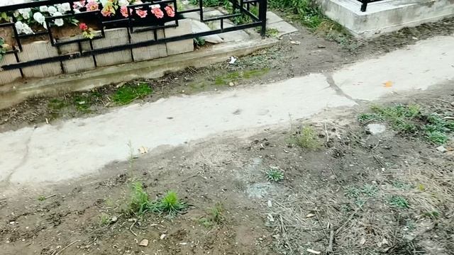 VID_20220927_164102.mp4