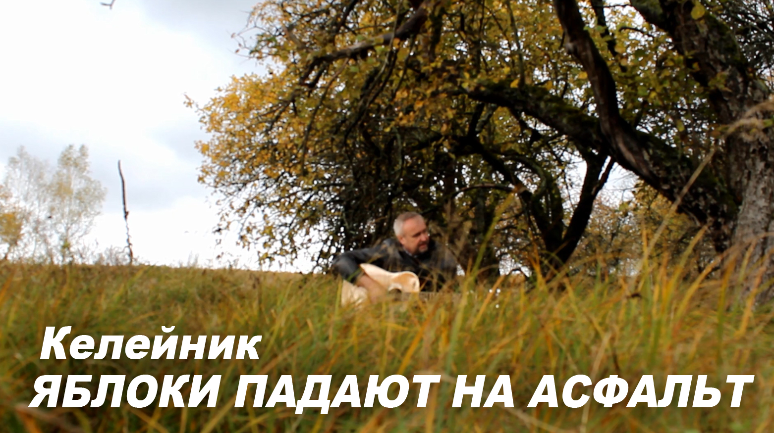 Келейник: Яблоки падают на асфальт