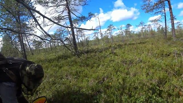 Морошка 2022 г,.mp4