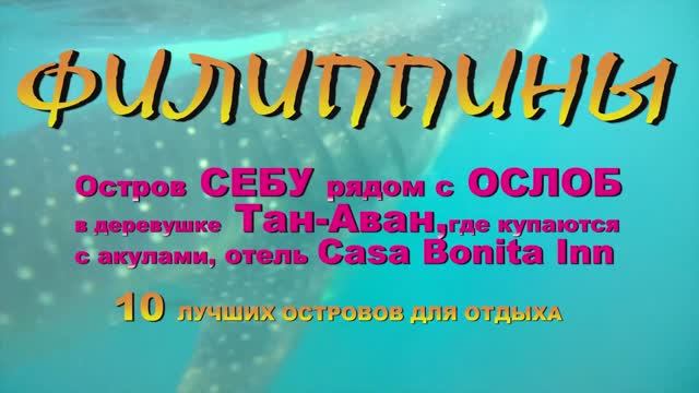 Филиппины СЕБУ Ослоб отель Casa Bonita Inn в Тан-Аван, где купаются с АКУЛАМИ 10 лучших островов для