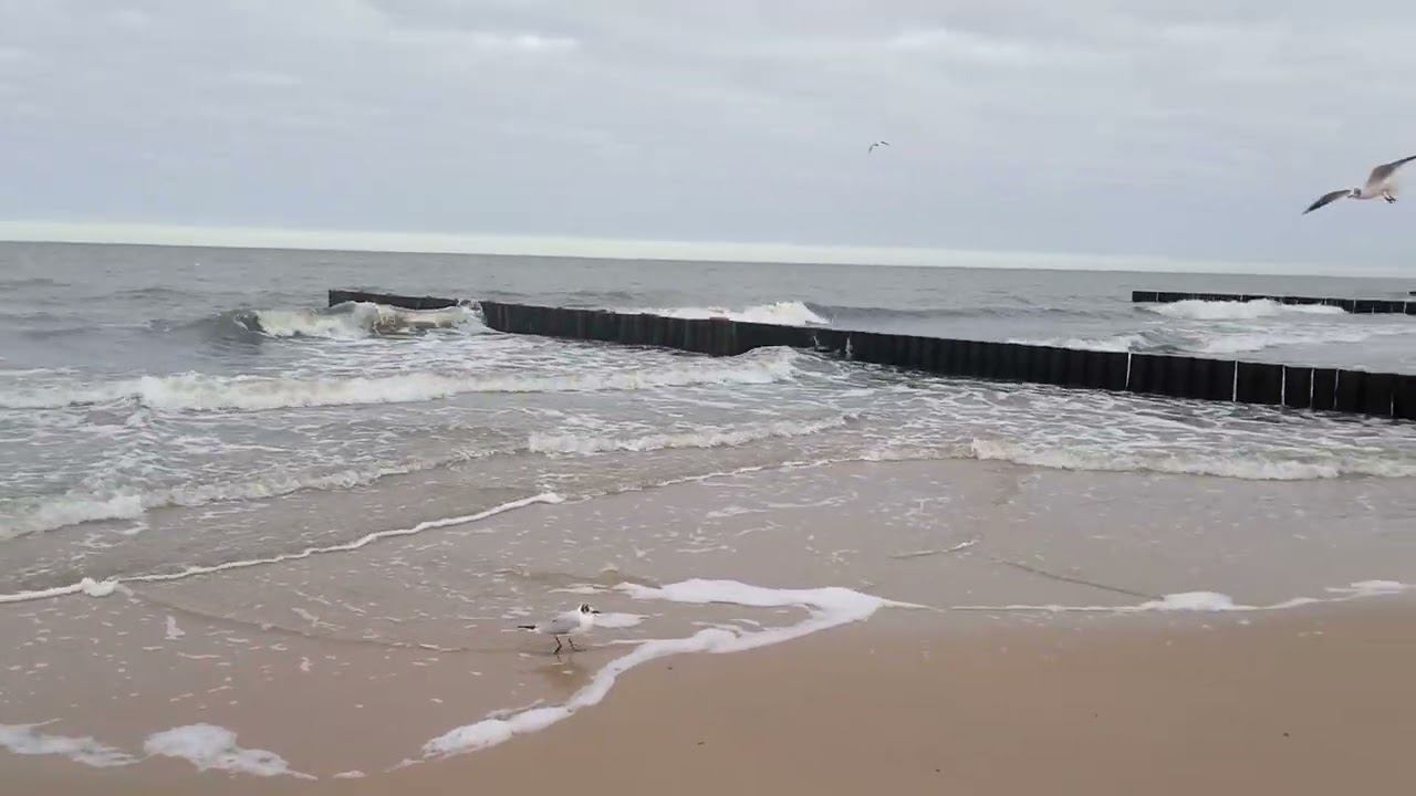 Зеленоградск. 2 марта 2023 года