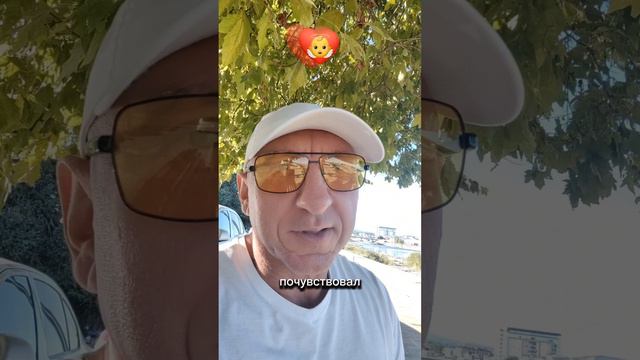 детскому сердцу не прикажешь!