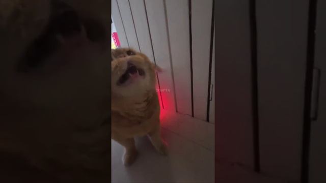 И мне такие же нужны